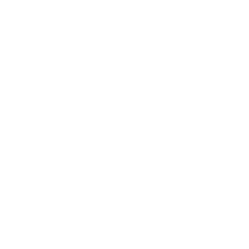 Einarr's Journey | Norse Mythology, Viking Wisdom & Runic Art