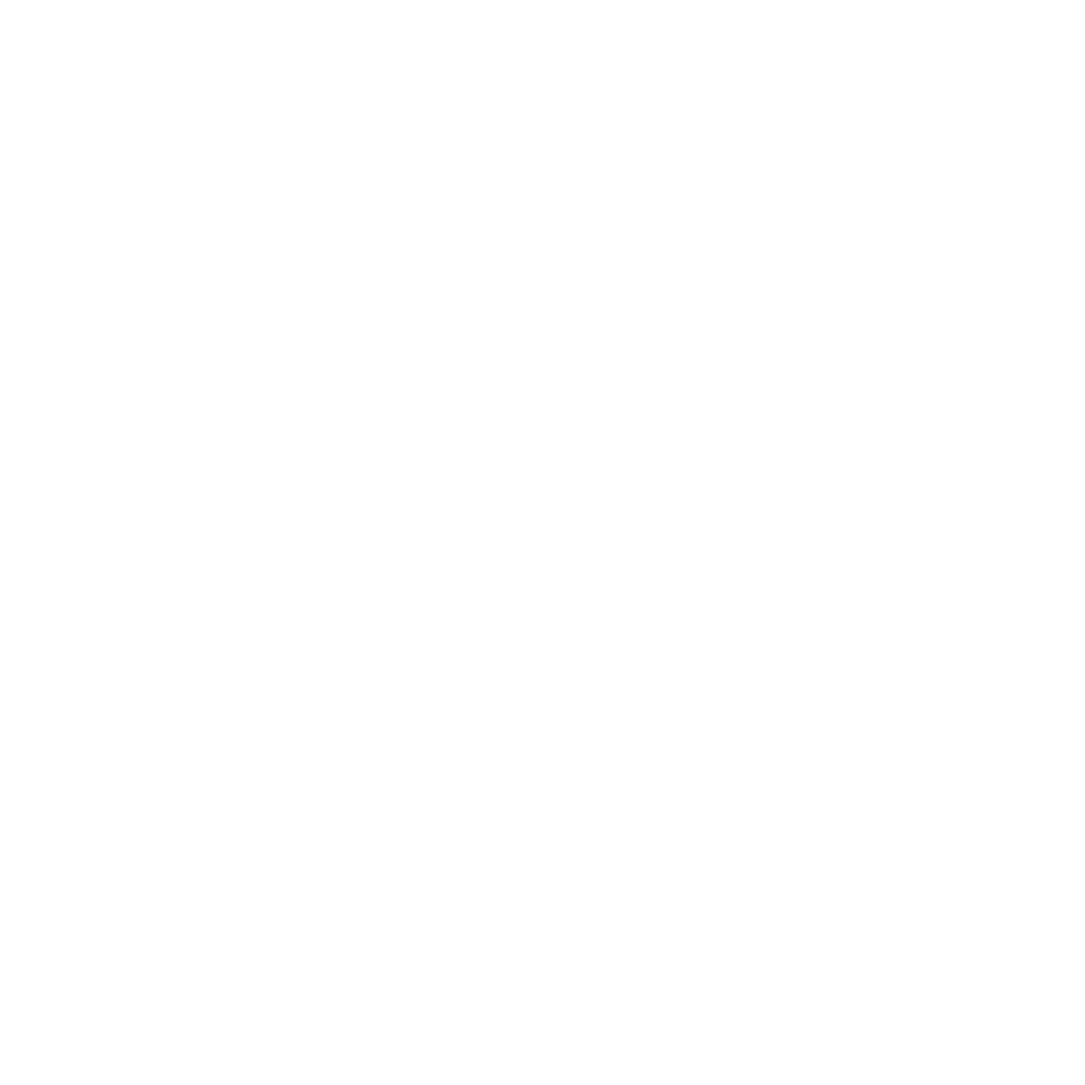 Einarr's Journey | Norse Mythology, Viking Wisdom & Runic Art