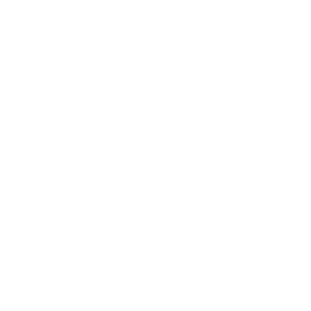 Einarr's Journey | Norse Mythology, Viking Wisdom & Runic Art
