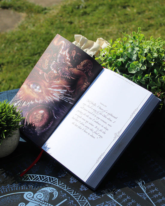 Hávamál • Art – Einarr's Journey