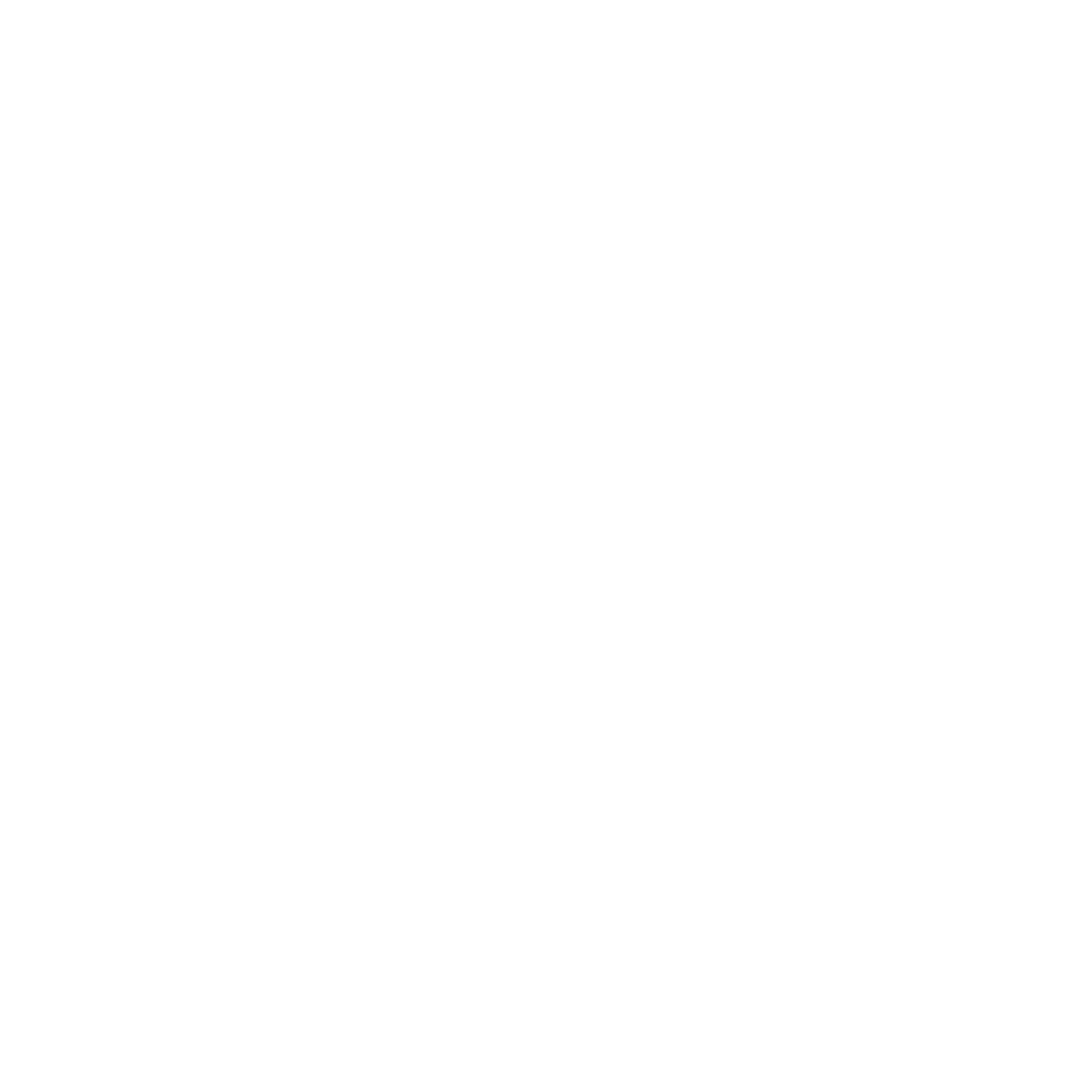 BINDRUNES: Everything you need to know | Einarr's Journey