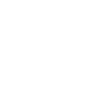 Rune Converter | Write in runes & learn how to use them – Einarr's Journey