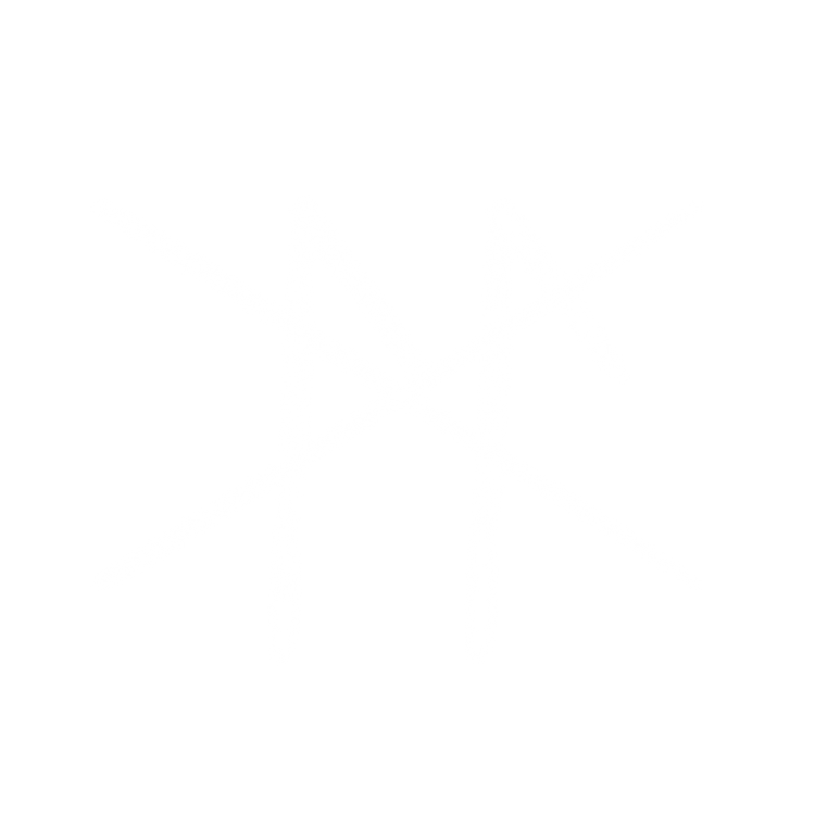 Rune Converter | Write in runes & vice versa – Einarr's Journey