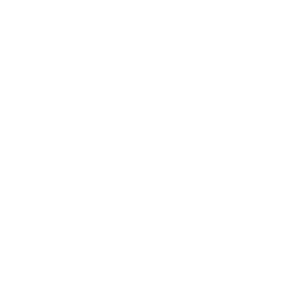 Rune Converter | Write in runes & learn how to use them – Einarr's Journey