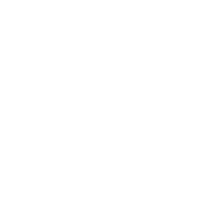 Rune Converter | Write in runes & learn how to use them – Einarr's Journey