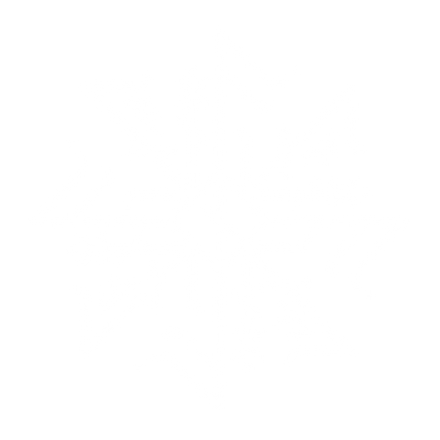 BINDRUNES: Everything you need to know | Einarr's Journey